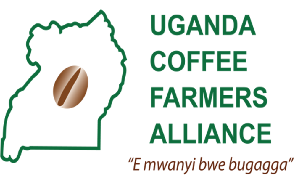 UCFA | Coffee Uganda – Uganda Coffee Farmers Alliance
